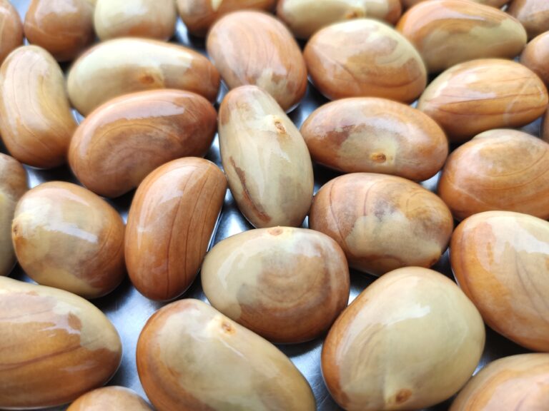 7 Proven Jackfruit Seeds Benefits: Reasons Not to Throw Away